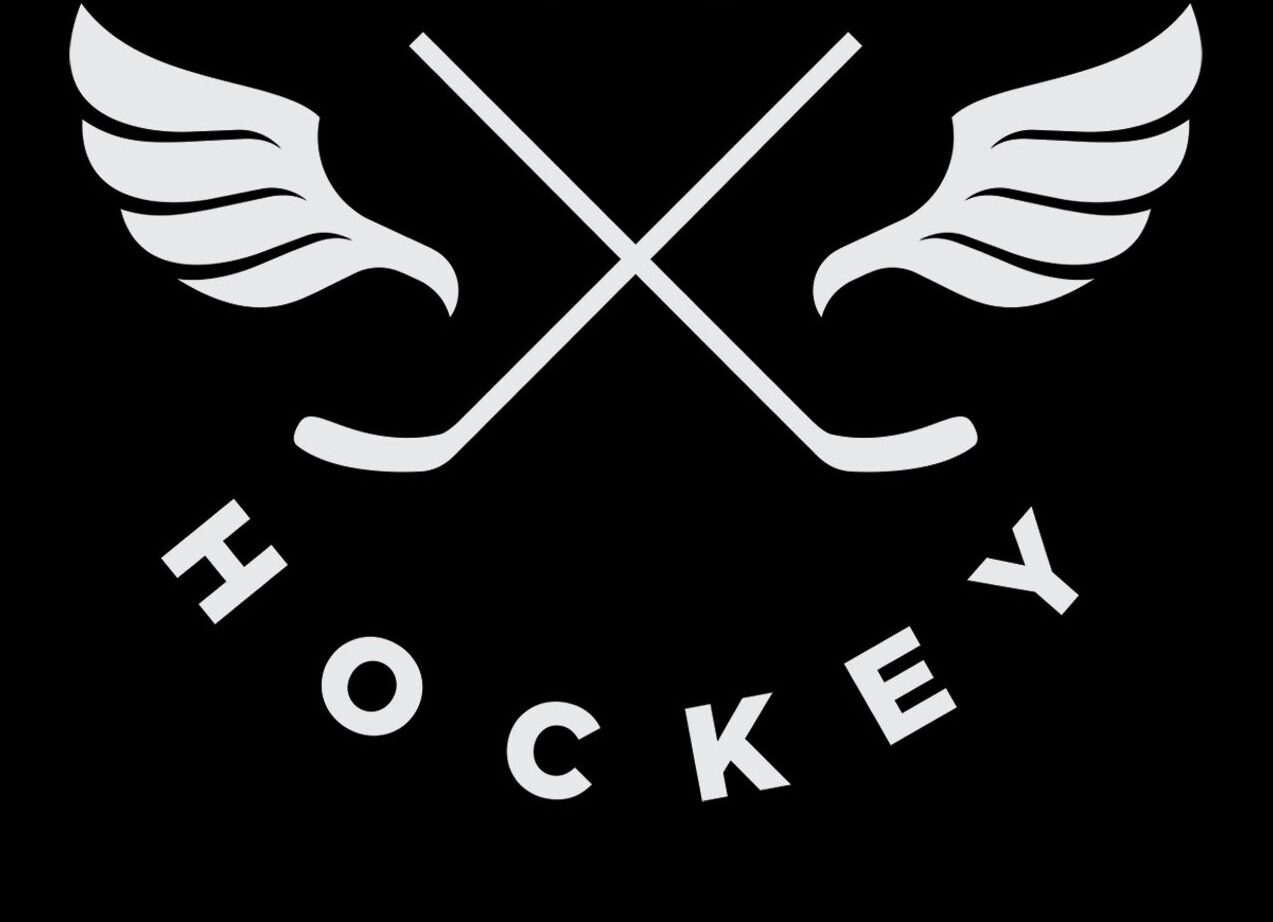 Spring Hockey Teams in Toronto | BEAST ATHLETICS