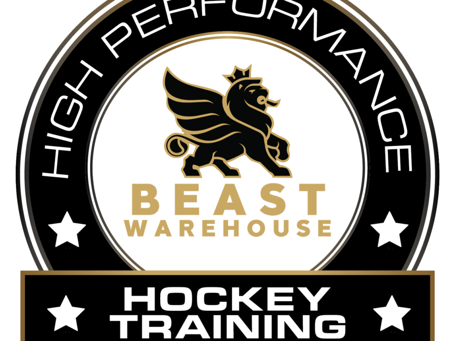 4-on-4 Hockey League in Toronto | BEAST ATHLETICS