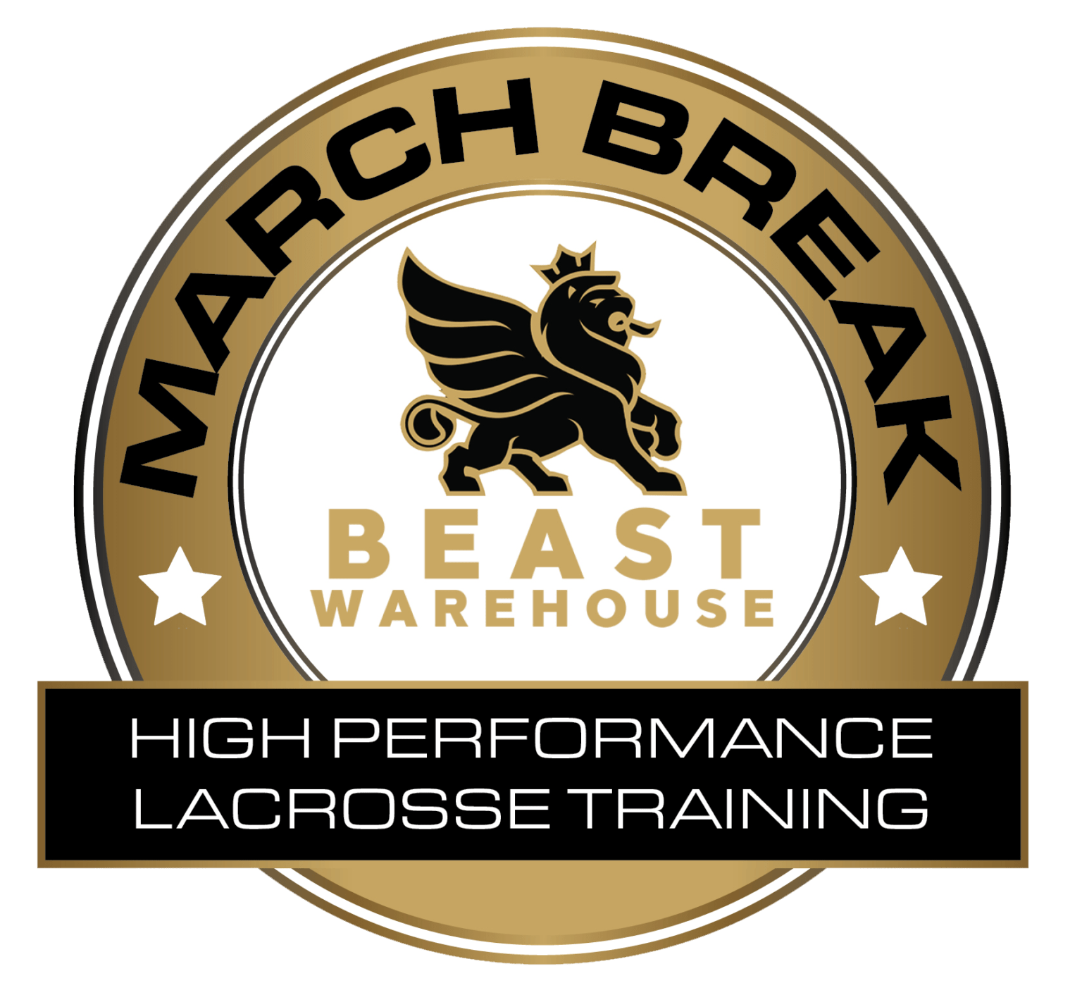 Hockey and Lacrosse Training in Toronto | BEAST ATHLETICS