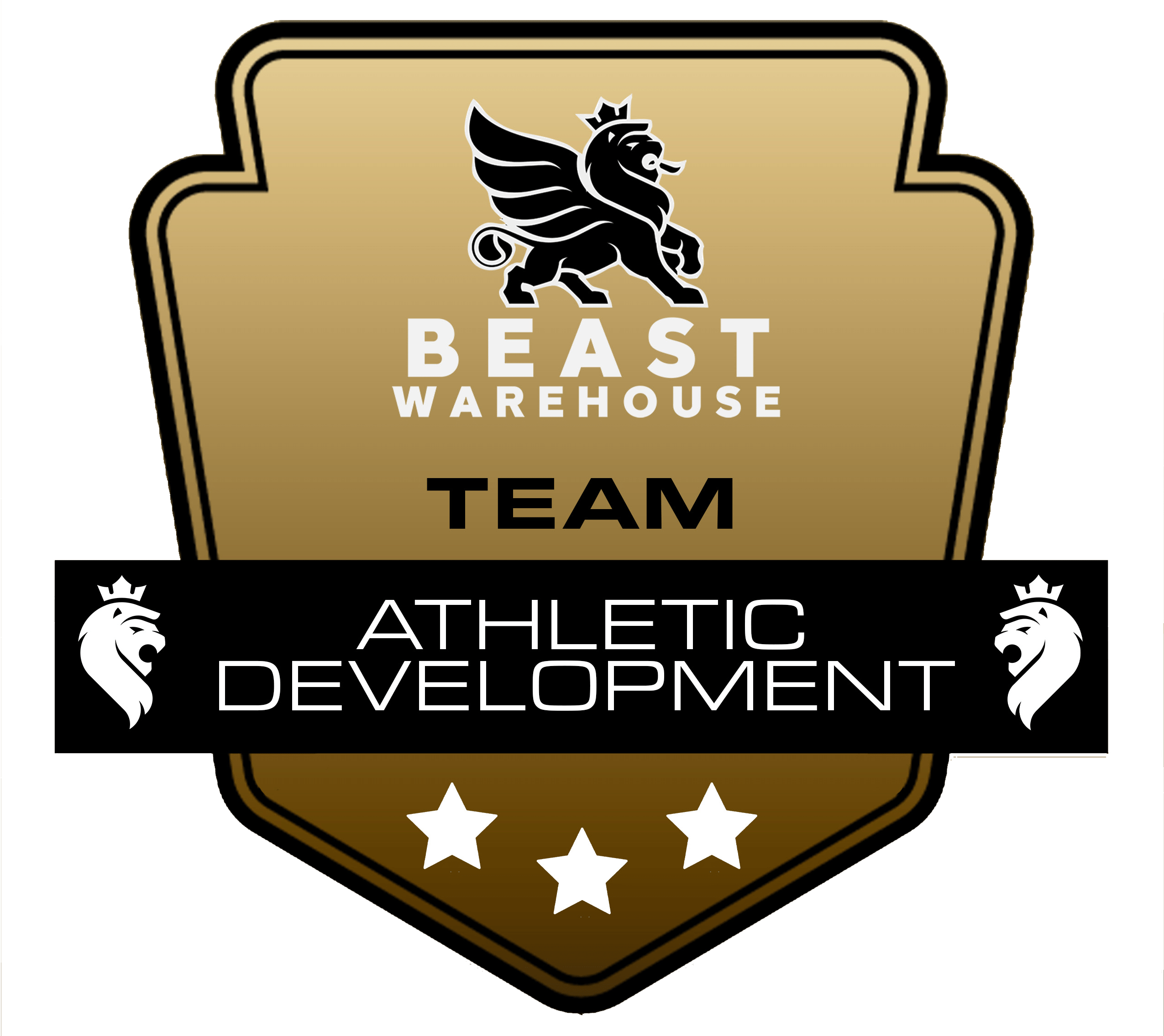 Hockey Team Athletic Development Training | BEAST ATHLETICS